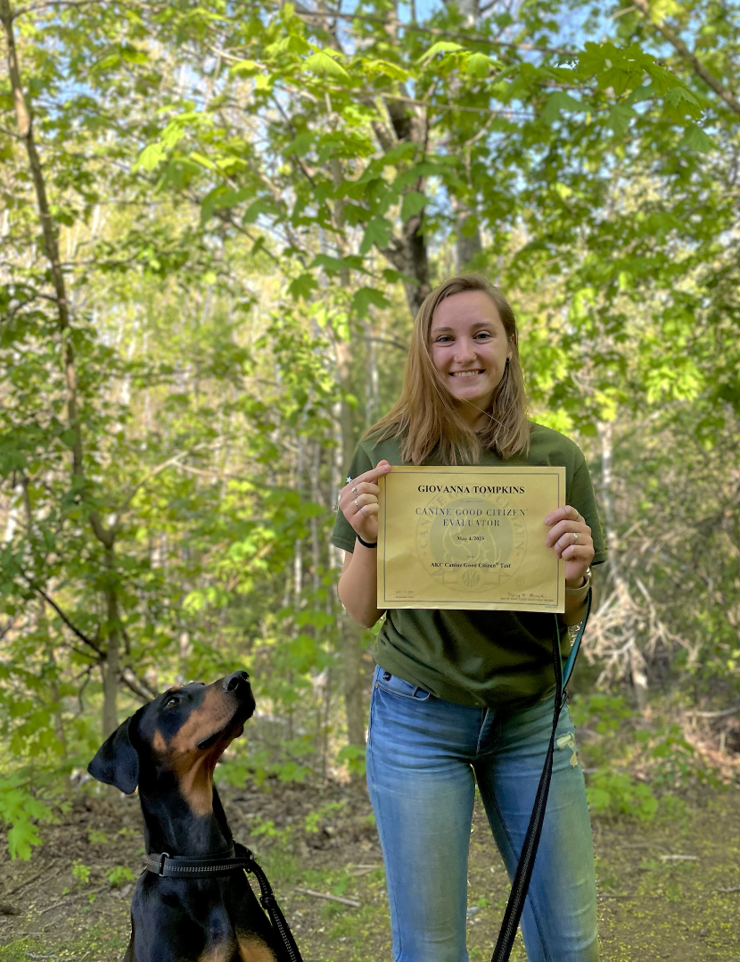 Dog Training | Bangor, ME