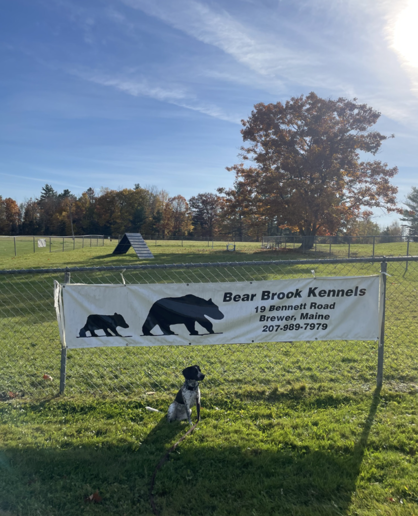 Pet Boarding | Bangor, ME - Bear Brook Kennel